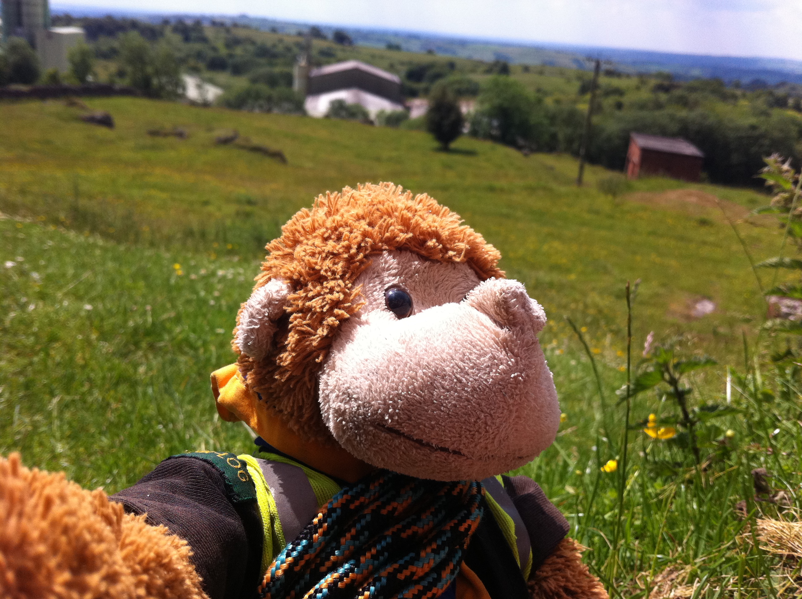 Monkey Phill - 1st Bandar-log